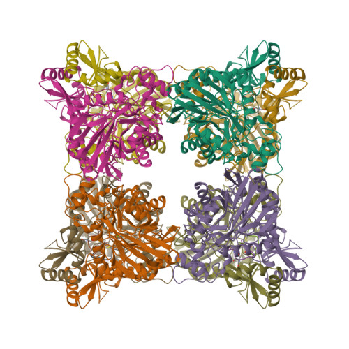RCSB PDB - 8GQA: Crystal structure of lasso peptide epimerase MslH in ...