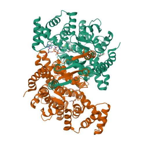 RCSB PDB - 8GR9: Crystal structure of peroxisomal citrate synthase ...