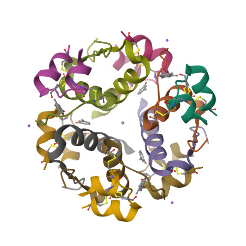 RCSB PDB - 8GSG: T3R3 form of Human insulin with single Zn