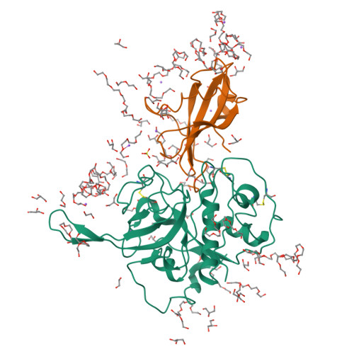 RCSB PDB - 8GT0: Structure of falcipain and human Stefin A complex