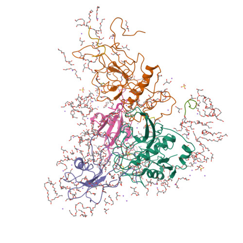 RCSB PDB - 8GT7: Structure of falcipain and human Stefin A mutant complex