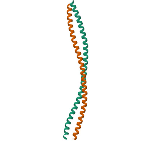 RCSB PDB - 8GT9: Selective targeting of the Beclin 2-Atg14L coiled coil ...