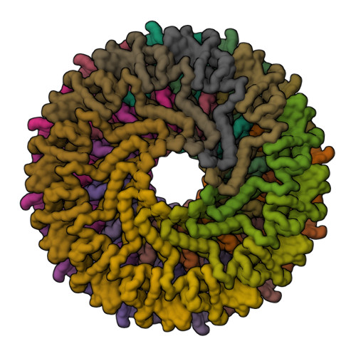 RCSB PDB - 8GTD: Cryo-EM model of the marine siphophage vB_DshS-R4C ...