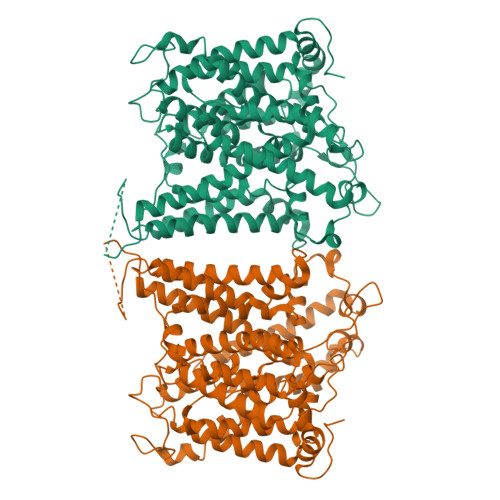 RCSB PDB - 8GVA: The intermediate structure of hAE2 in basic pH