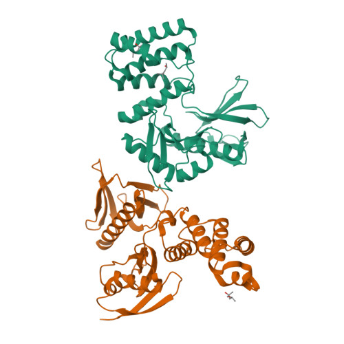RCSB PDB - 8GVL: PTPN21 FERM
