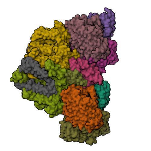 RCSB PDB - 8GWA: Structure of the intact photosynthetic light ...