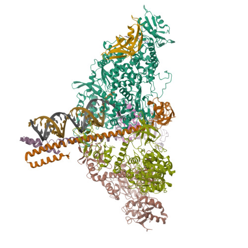 RCSB PDB - 8GWG: SARS-CoV-2 E-RTC complex with SMP-nsp9 and GMPPNP