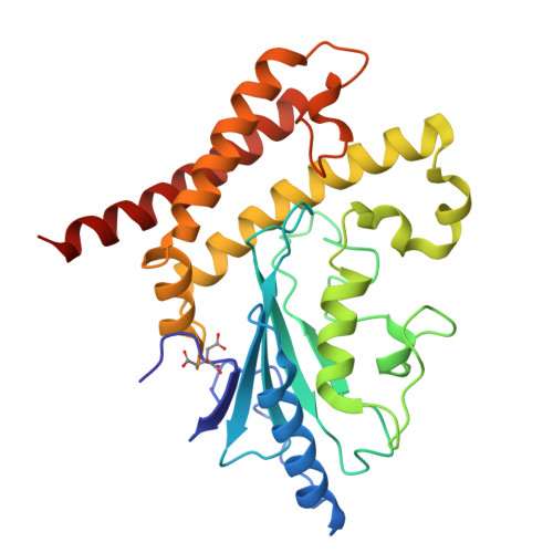 RCSB PDB - 8GXR: crystal structure of UBC domain of UBE2O