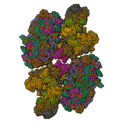 RCSB PDB - 8GZU: Cryo-EM structure of Tetrahymena thermophila ...