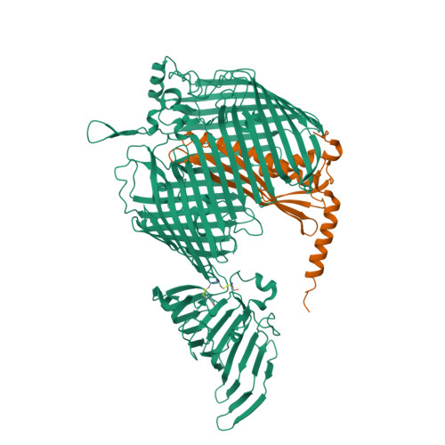 RCSB PDB - 8H1S: Crystal structure of apo-LptDE complex