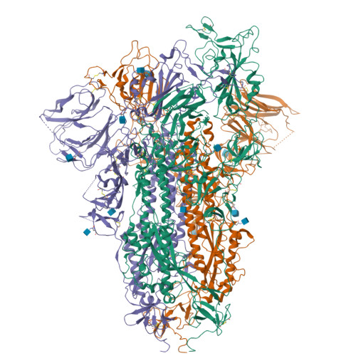 RCSB PDB - 8H3D: Structure of apo SARS-CoV-2 spike protein with one RBD up