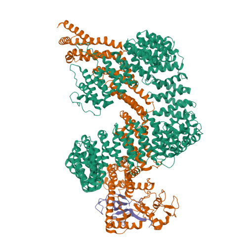 RCSB PDB - 8H3Q: Cryo-EM Structure of the CAND1-Cul3-Rbx1 complex