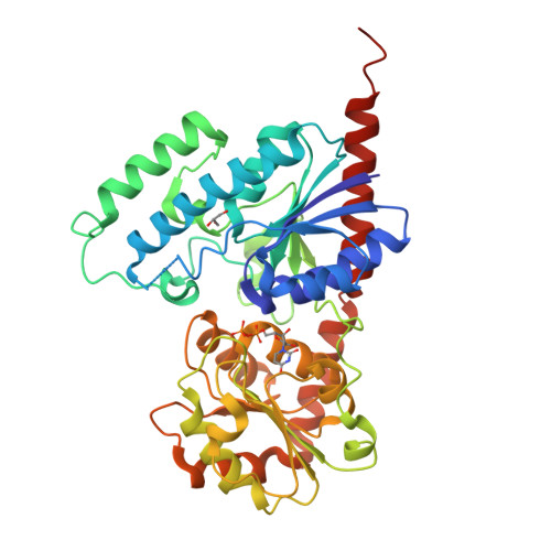RCSB PDB - 8H5D: Crystal structure of YojK mutant in complex with UDP