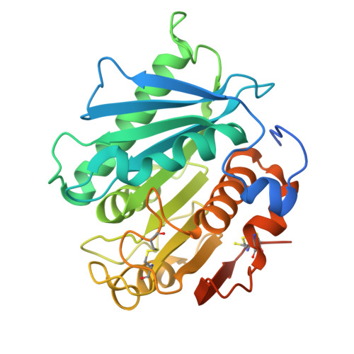 RCSB PDB - 8H5O: Crystal structure of PETase S121E/P181V/D186H/N233C ...