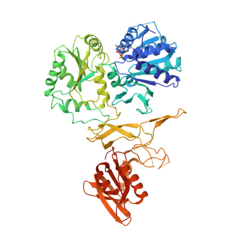 RCSB PDB - 8H5Y: Crystal structure of RadD- ADP complex