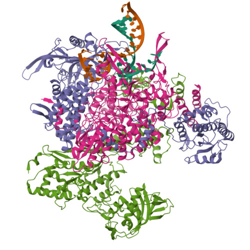 RCSB PDB - 8H69: Cryo-EM structure of influenza RNA polymerase