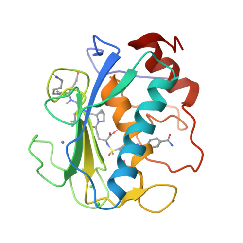 RCSB PDB - 8H78: Crystal structure of human MMP-2 catalytic domain in ...