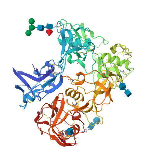 RCSB PDB - 8H7J: The crystal structure of CD163 SRCR5-9