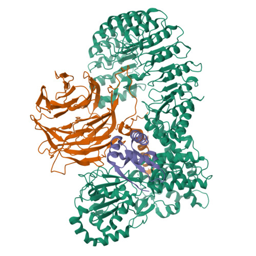 RCSB PDB - 8H94: Structure of mouse SCMC bound with KH domain of FILIA