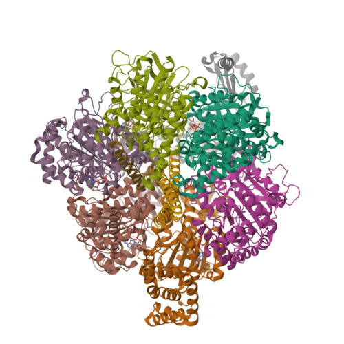RCSB PDB - 8H9L: Human ATP synthase F1 domain, state 3a