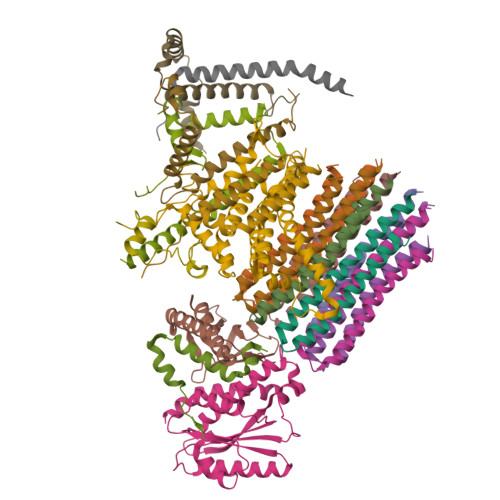 RCSB PDB - 8H9M: Human ATP synthase state 3a subregion 3