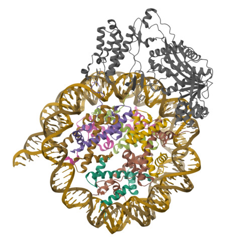 RCSB PDB - 8HAK: Cryo-EM structure of the p300 catalytic core bound to ...