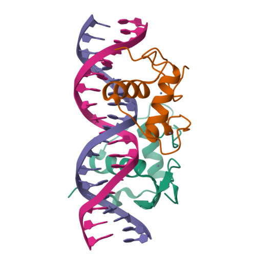 RCSB PDB - 8HBM: Structural basis of the farnesoid X receptor/retinoid X receptor heterodimer on ...