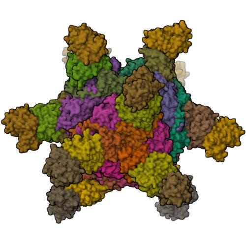 RCSB PDB - 8HC1: CryoEM structure of Helicobacter pylori UreFD/urease ...