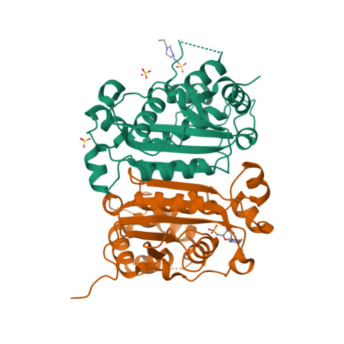 RCSB PDB - 8HCE: Crystal structure of mTREX1-CMP complex
