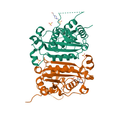 RCSB PDB - 8HCF: Crystal structure of mTREX1-UMP complex