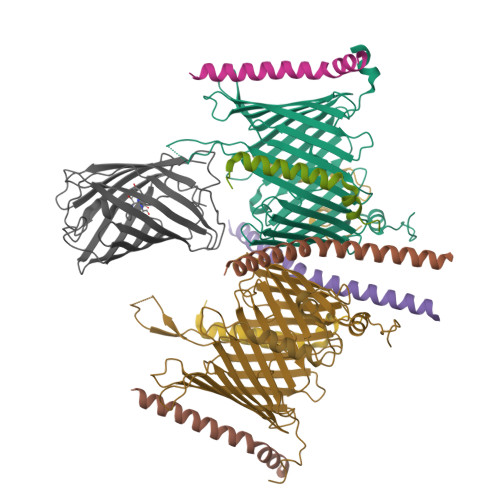 RCSB PDB - 8HCO: Substrate-engaged TOM complex from yeast
