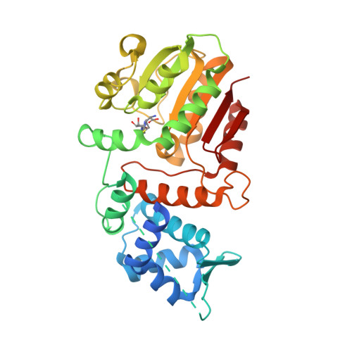 RCSB PDB - 8HD2: Crystal structure of SAM dependent methyltransferase ...