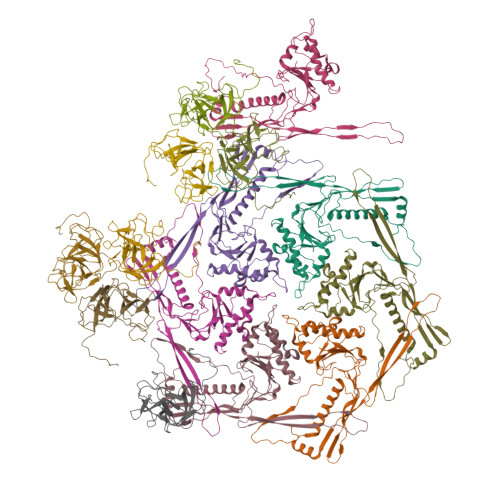 RCSB PDB - 8HDT: Cyanophage Pam3 capsid asymmetric unit