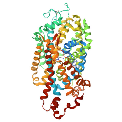 RCSB PDB - 8HFI: Cryo-EM structure of human norepinephrine transporter ...