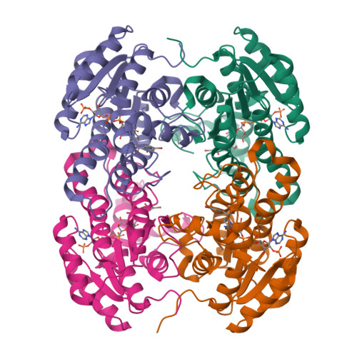 Rcsb Pdb 8hfk Crystal Structure Of Cbar Mutant H162f In Complex