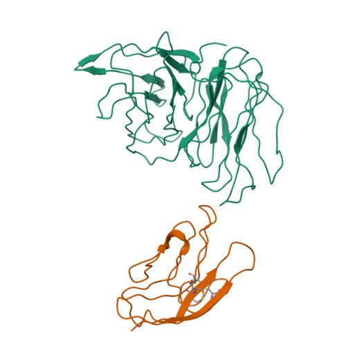 RCSB PDB - 8HGJ: Toxascaris leonina galectin (Tl-gal) and Human T-cell ...