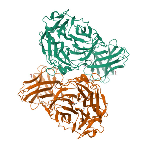 RCSB PDB - 8HHV: endo-alpha-D-arabinanase EndoMA1 from Microbacterium ...