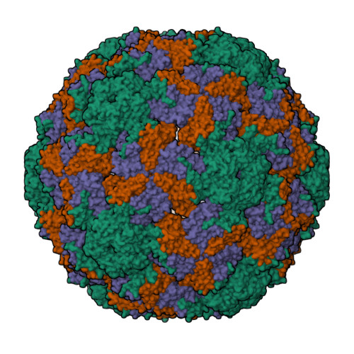 RCSB PDB - 8HI2: Structure of EV71 VLP frozen at -183 degree embedded ...