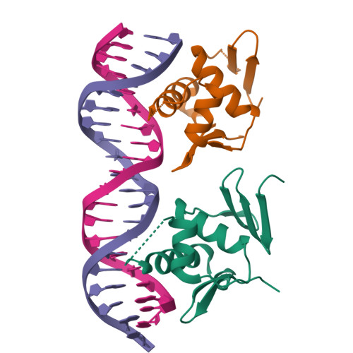 RCSB PDB - 8HIG: Co-crystal structure of C-terminal DNA binding domain ...