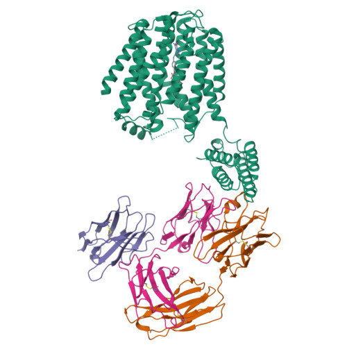 RCSB PDB - 8HIJ: The 5-MTHF-bound BRIL-SLC19A1/Fab/Nb ternary complex