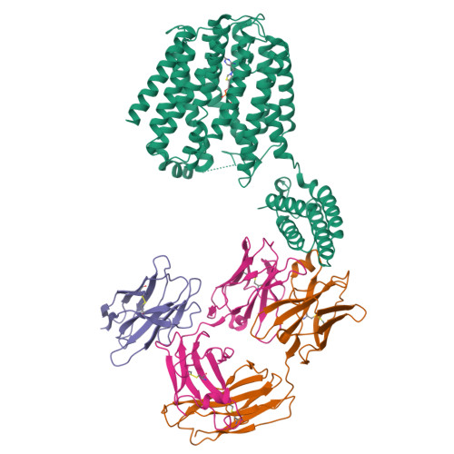 RCSB PDB - 8HIK: The TPP-bound BRIL-SLC19A1/Fab/Nb ternary complex