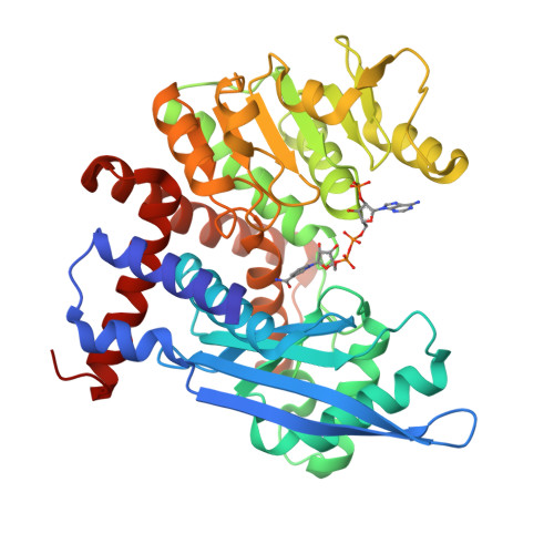 RCSB PDB - 8HIZ: cryoEM structure of glutamate dehydrogenase from ...
