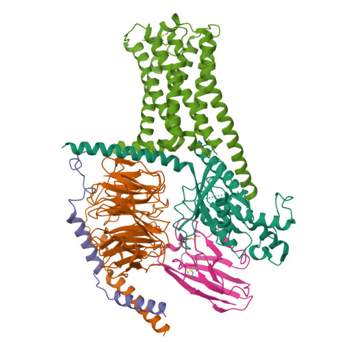 RCSB PDB - 8HJ1: GPR21(wt) and Gs complex