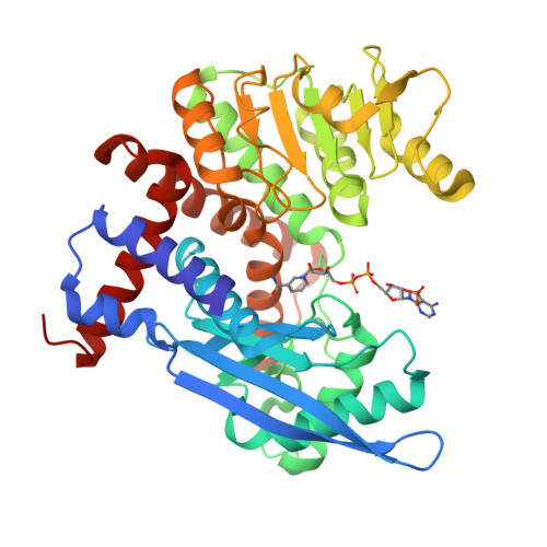 RCSB PDB - 8HJ3: cryoEM structure of glutamate dehydrogenase from ...