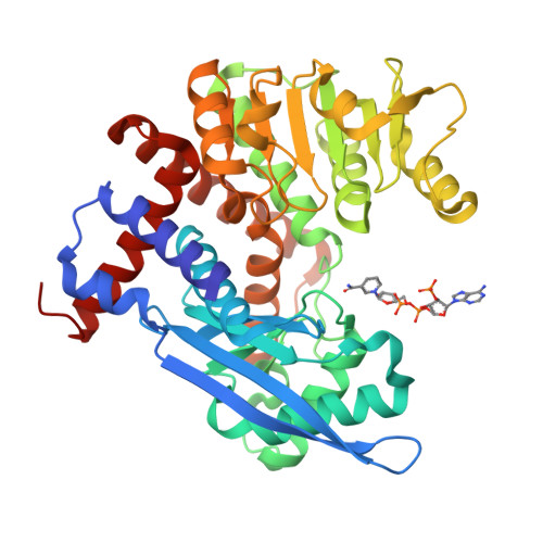RCSB PDB - 8HJ9: cryoEM structure of glutamate dehydrogenase from ...