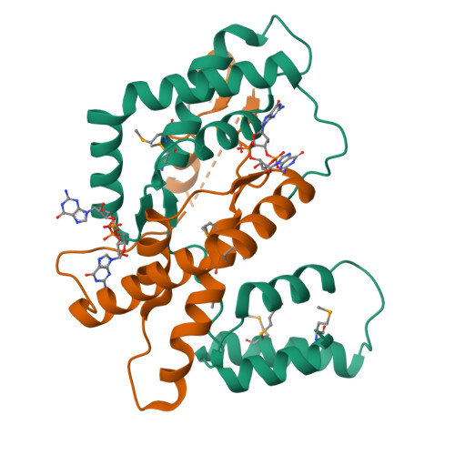 RCSB PDB - 8HJA: The crystal structure of syn_CdgR-(c-di-GMP) from ...