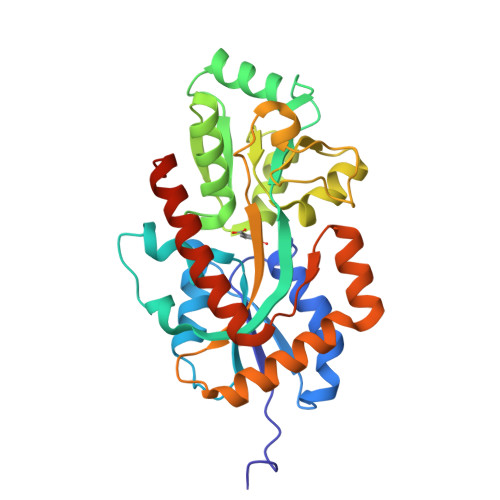 RCSB PDB - 8HKA: TPA bound-form of Periplasmic terephthalate binding ...