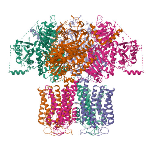 RCSB PDB - 8HKQ: ion channel