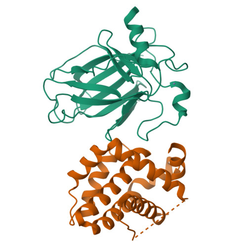 RCSB PDB - 8HLL: Crystal structure of p53/BCL2 fusion complex (complex 1)