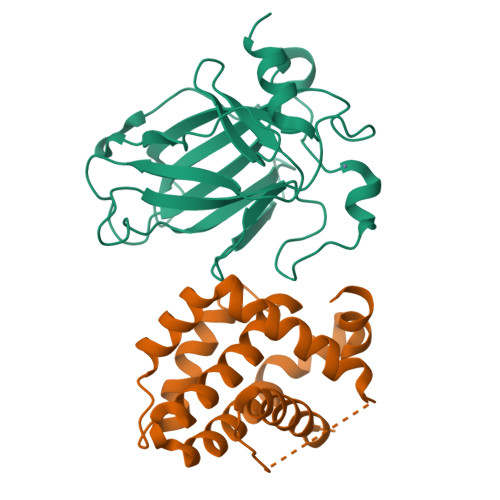 RCSB PDB - 8HLM: Crystal structure of p53/BCL2 fusion complex (complex 2)